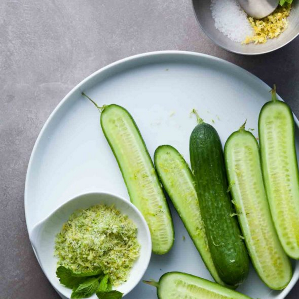 Snack agurk plante | Dyrk din egen agurk – Klarskov Gartneri